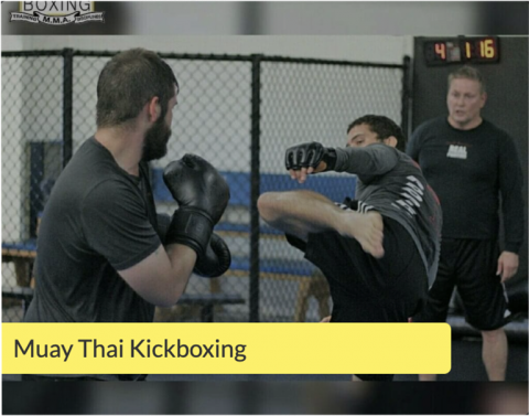 Palm Beach Boxing & MMA West Palm Beach, Florida